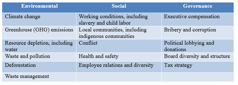 Sustainable Investing: Environmental, Social and Governance Integration